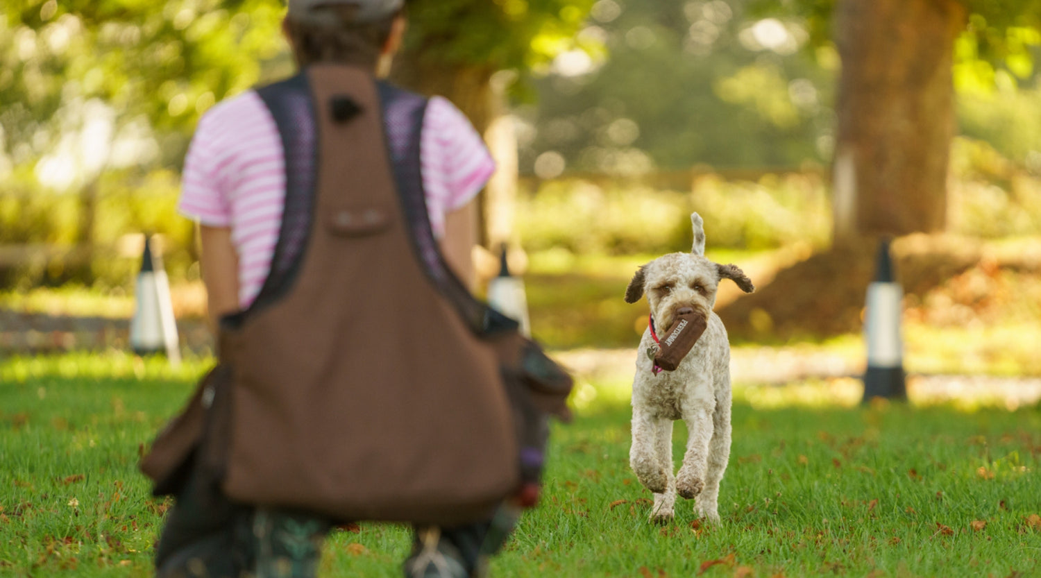 Getting started with your retrieve | Teach Your Gundog