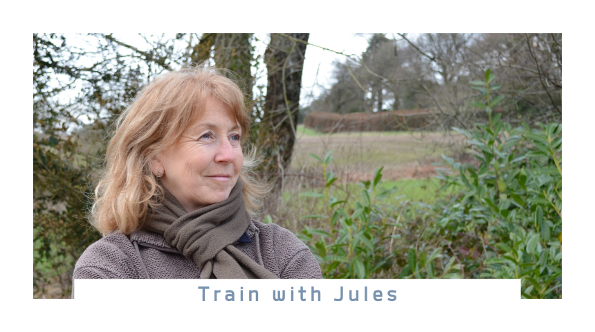 Train with Jules – Teach Your Gundog